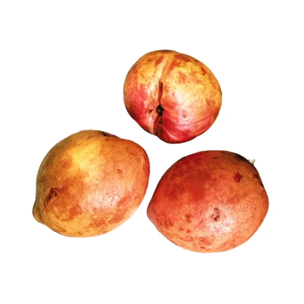 Sour Fruit ( Thekera Tenga) – Kisan Sampark